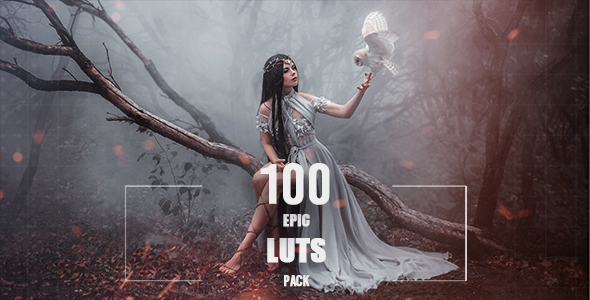 100 Epic LUTs Pack, Add Ons | VideoHive